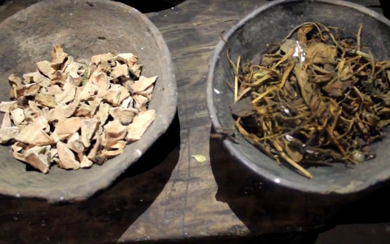 Medicina ancestral para curar el cuerpo y el alma