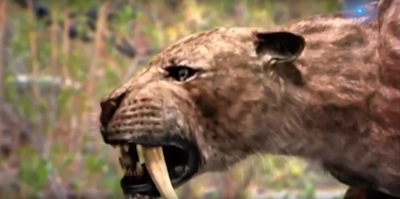 Descubren nueva especie de tigre dientes de sable