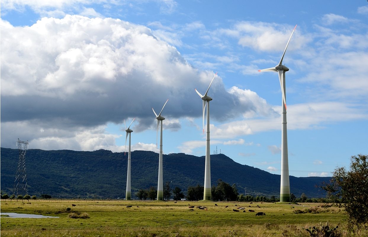 Campos eólicos en Argentina