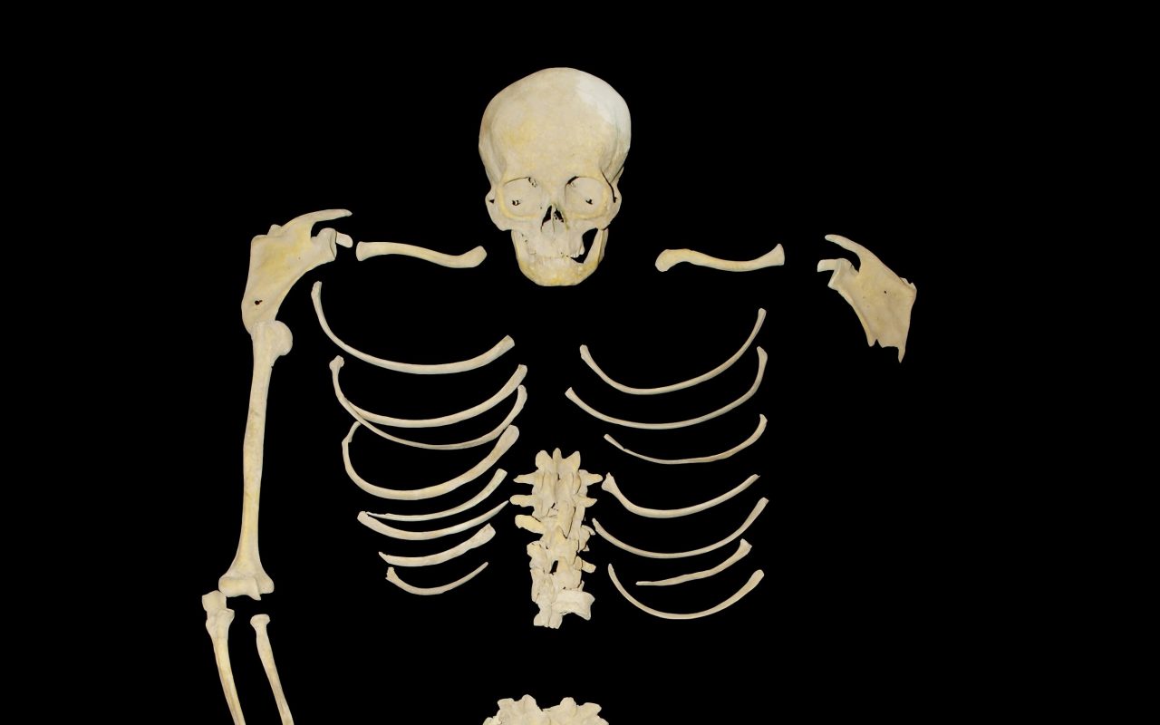 Hallan en Ecuador osamenta que perteneció a la cultura caranqui