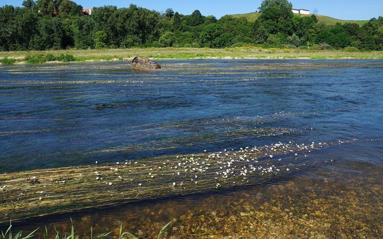 Las llanuras aluviales podrían rescatar al Danubio del cambio climático