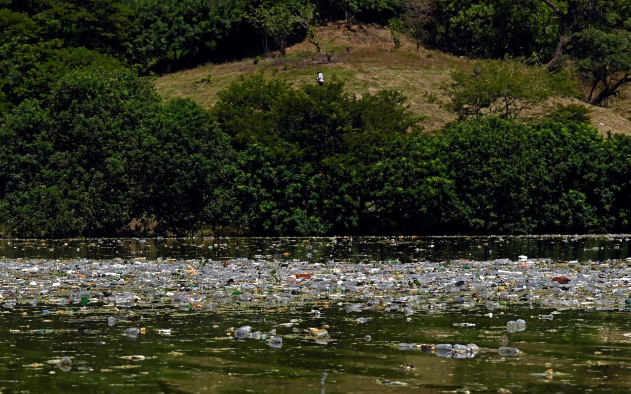 La contaminación plástica se apodera de ríos, lagos y playas en ...